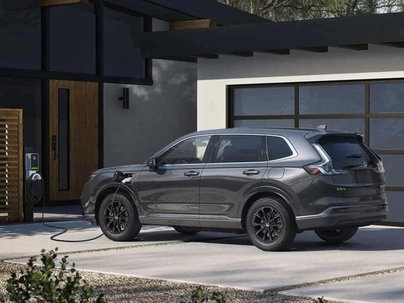 Programa de Mejora de Vehículos VIP | Norm Reeves Honda Vista