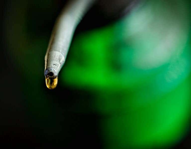 Whats The Difference Between Synthetic And Conventional Oil