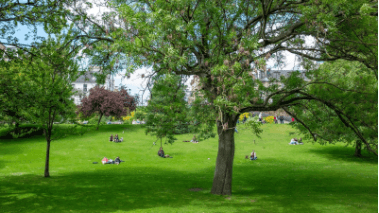 10 Best Parks in Cincinnati, OH