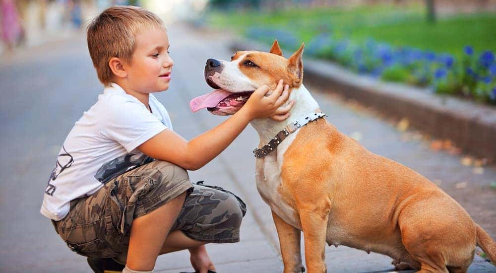 Reasons to Visit Piedmont Park This Spring | Buford, GA