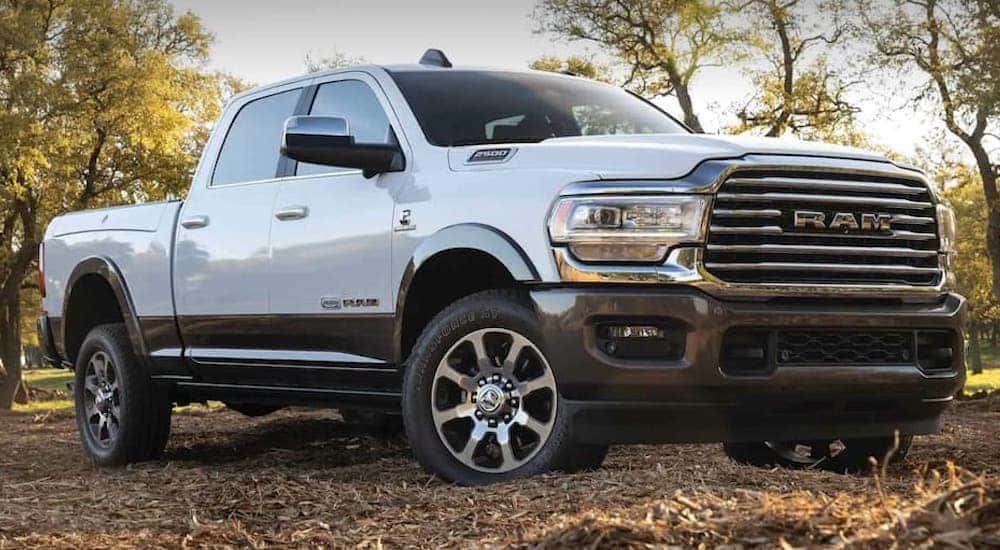 Find the Perfect Work Partner With These Used Heavy-Duty Workhorses