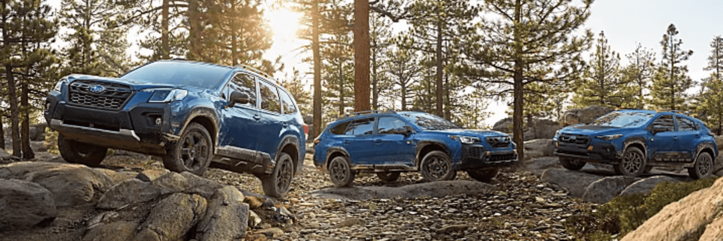Discover the Subaru Wilderness | Subaru of Pembroke Pines