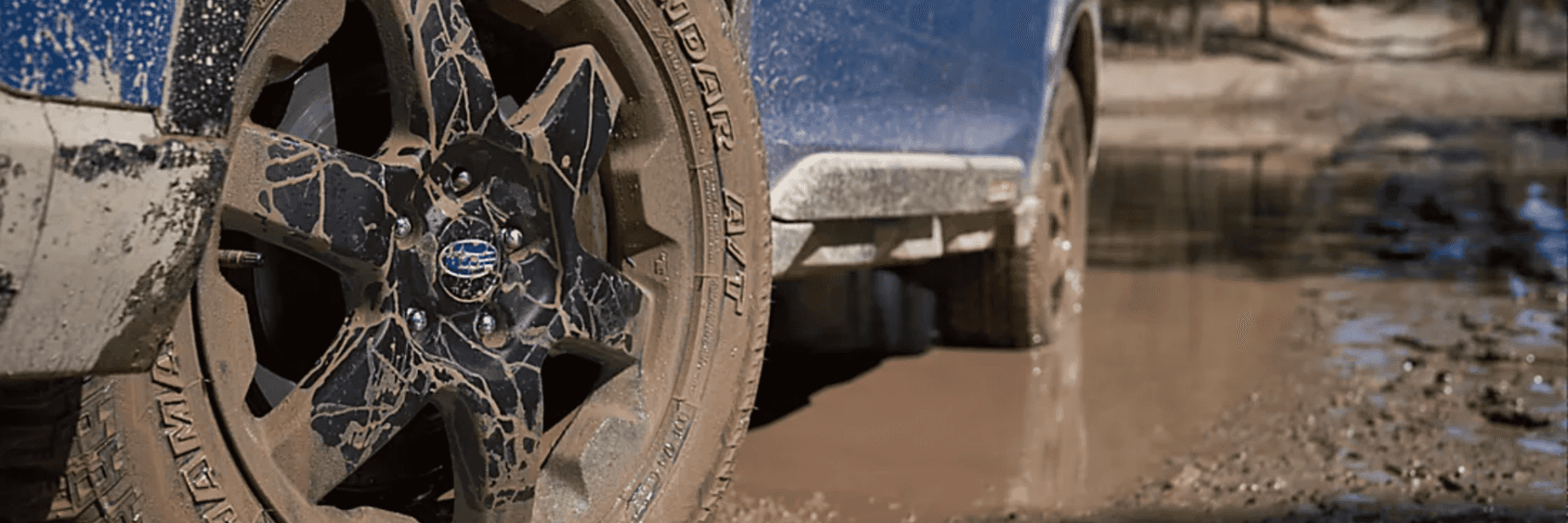 Discover the Subaru Wilderness | Subaru of Pembroke Pines
