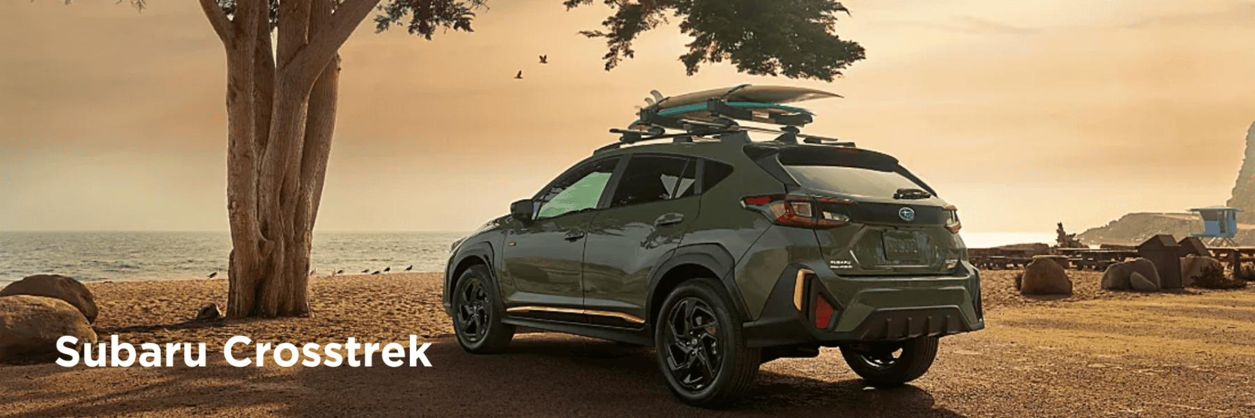 Discover the Subaru Wilderness | Subaru of Pembroke Pines