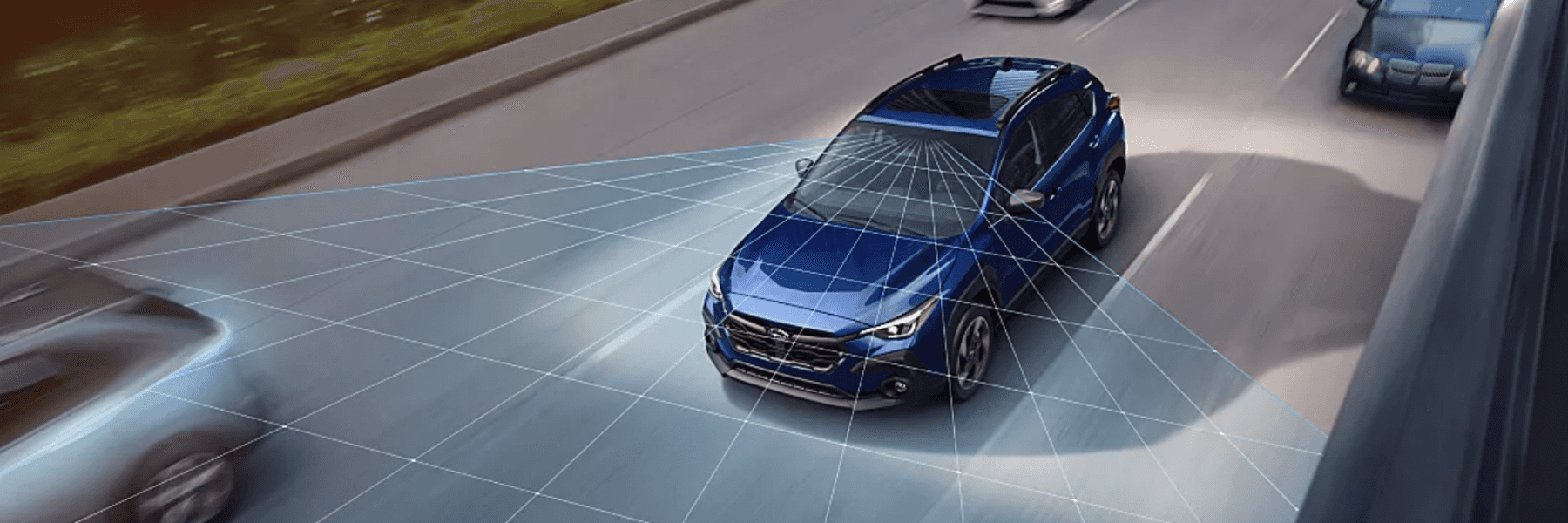 Discover the Subaru Wilderness | Subaru of Pembroke Pines